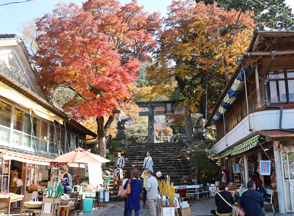 見どころいっぱい！ BRT沿線エリア秋のおでかけイベント 〈霜月 11月編〉 | 福岡MaaS